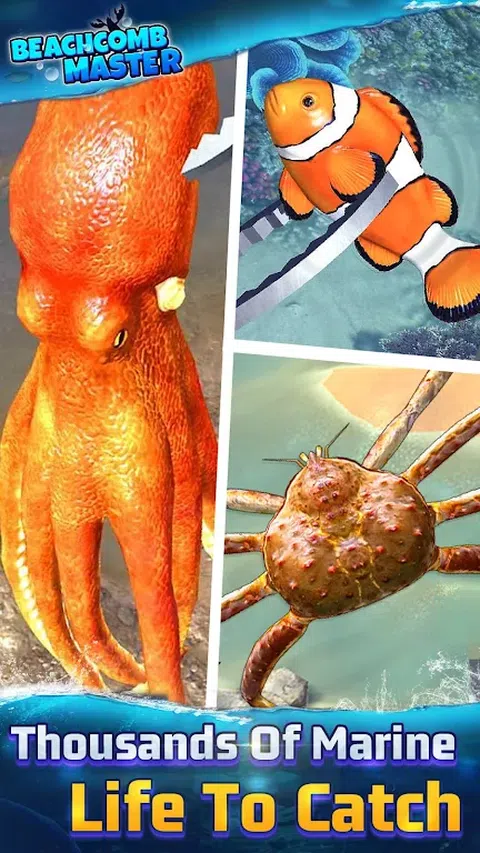 BeachComb大师最新版下载 - 233乐园